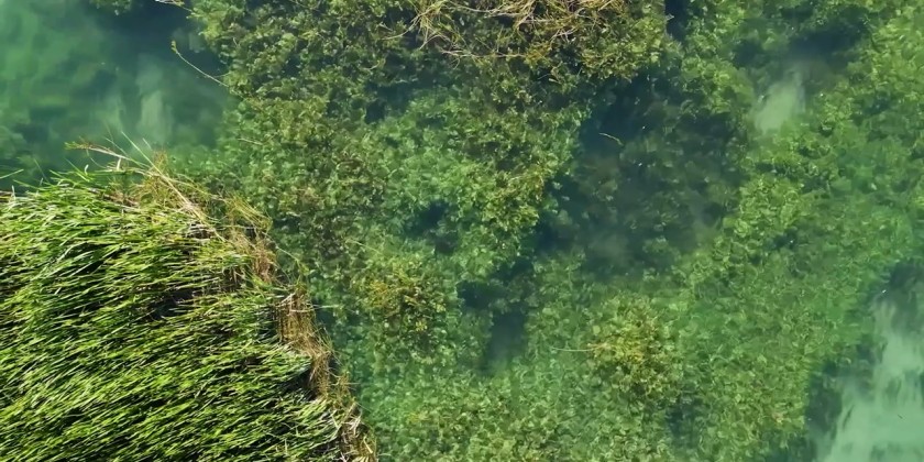 The ancient Roman pool in northeastern Turkuyie, dates back 2,000 years ...